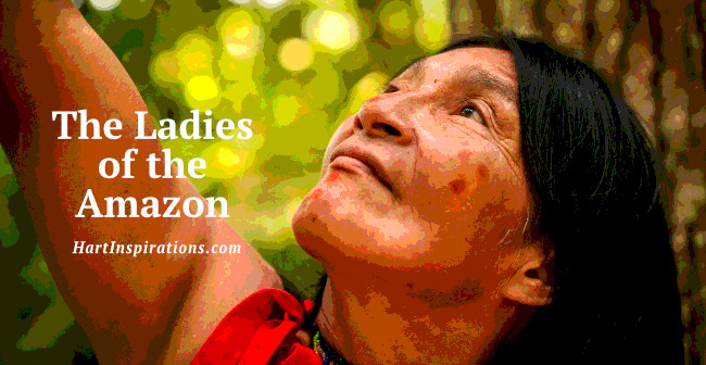 The Ladies of the Amazon | Susan L Hart / Author