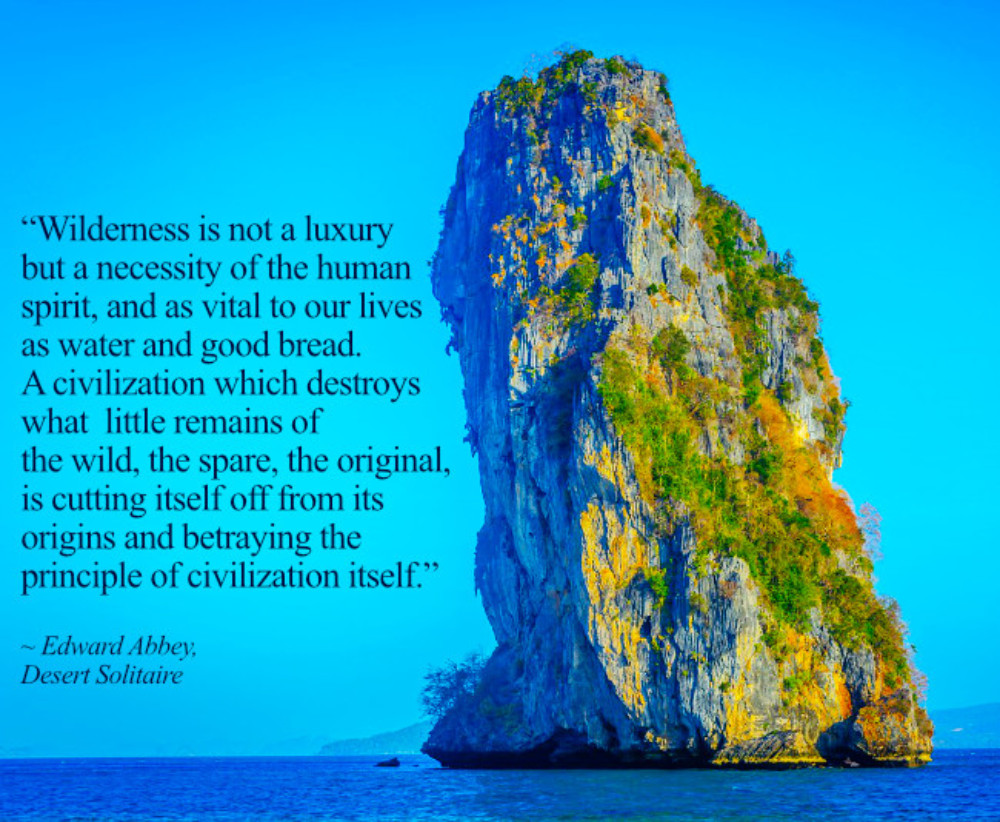 What Is Civilized? | Susan L Hart / Author